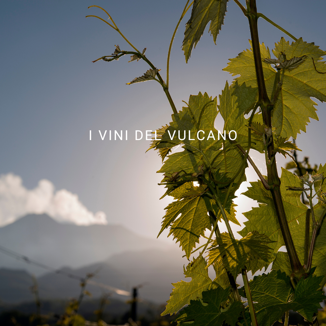 Magma Identitas – Sparkle Italy